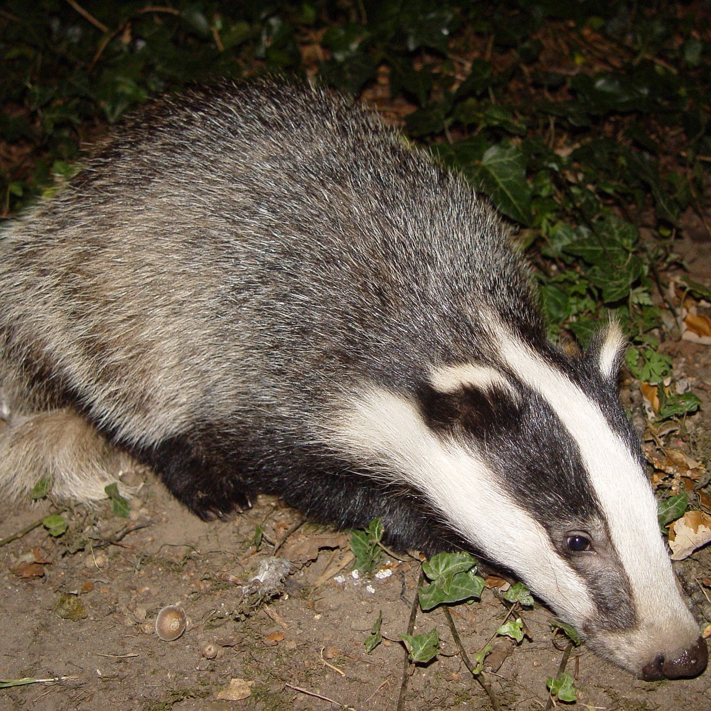 Redakční publikační systém vědecko-výzkumných projektů