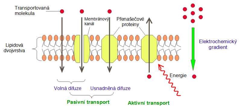 Redakční publikační systém vědecko-výzkumných projektů